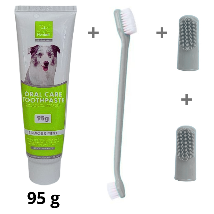 PASTA DENTAL CARE KIT X 4 PLOMO – CHOBIXTOPIA